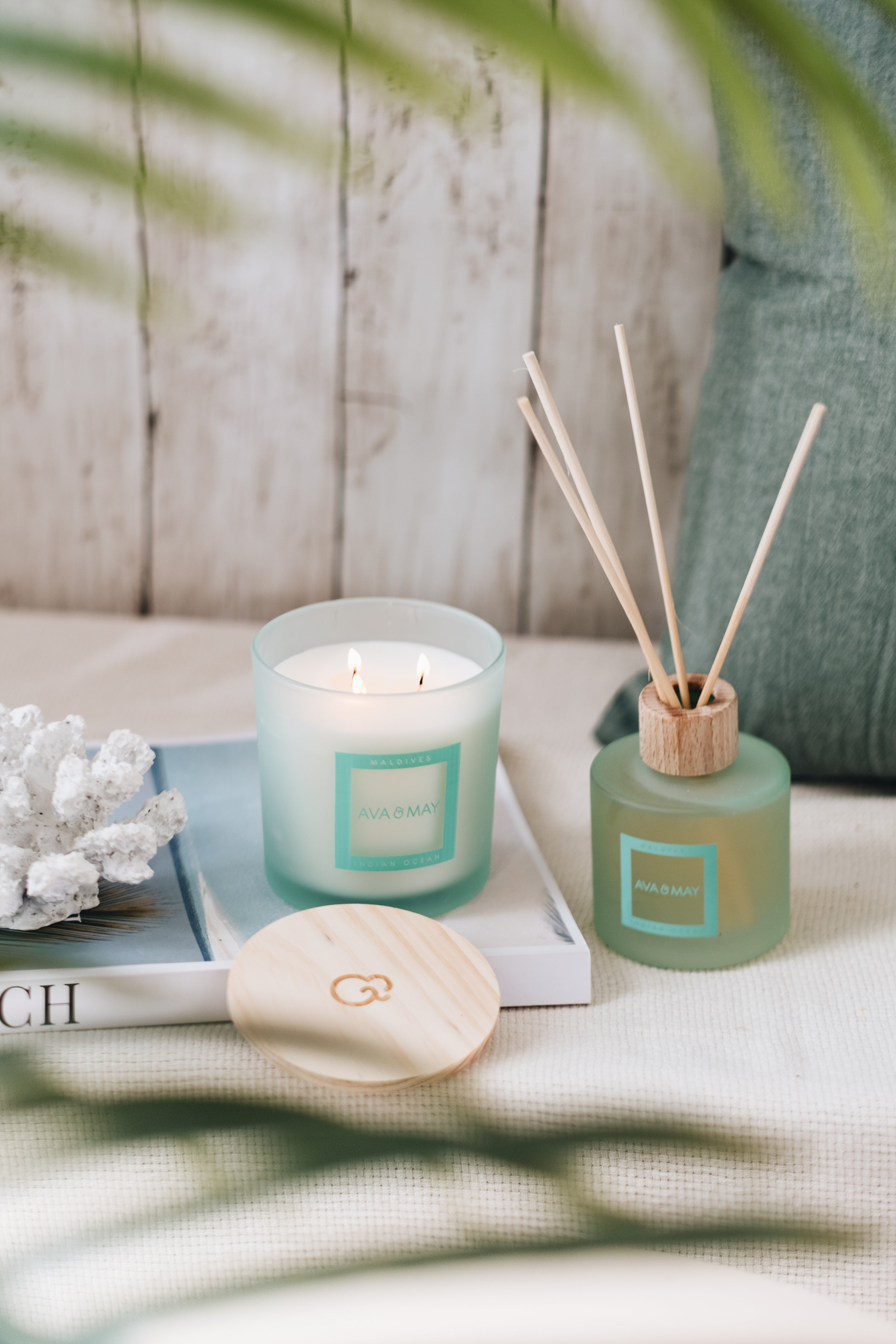 Neuheiten - BH – AVA & MAY - Germany