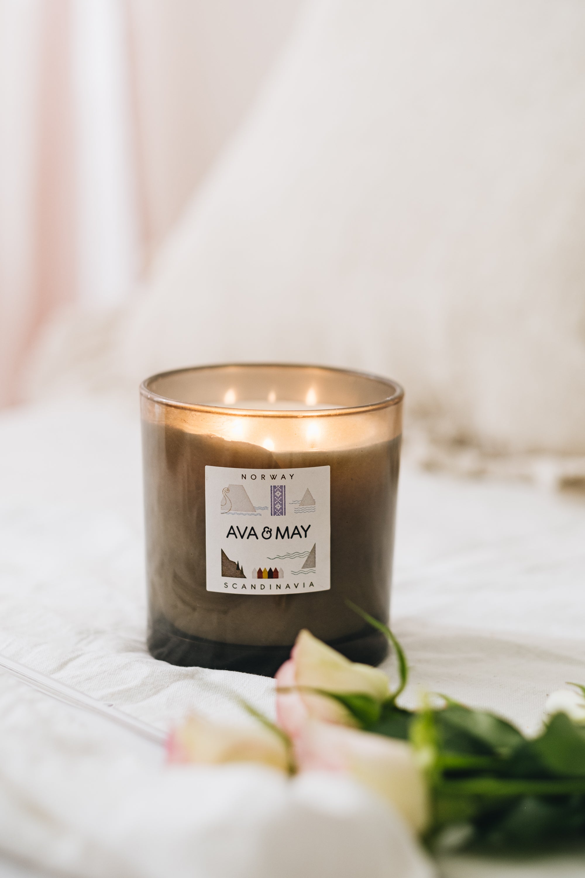 Neuheiten - BH – AVA & MAY - Germany