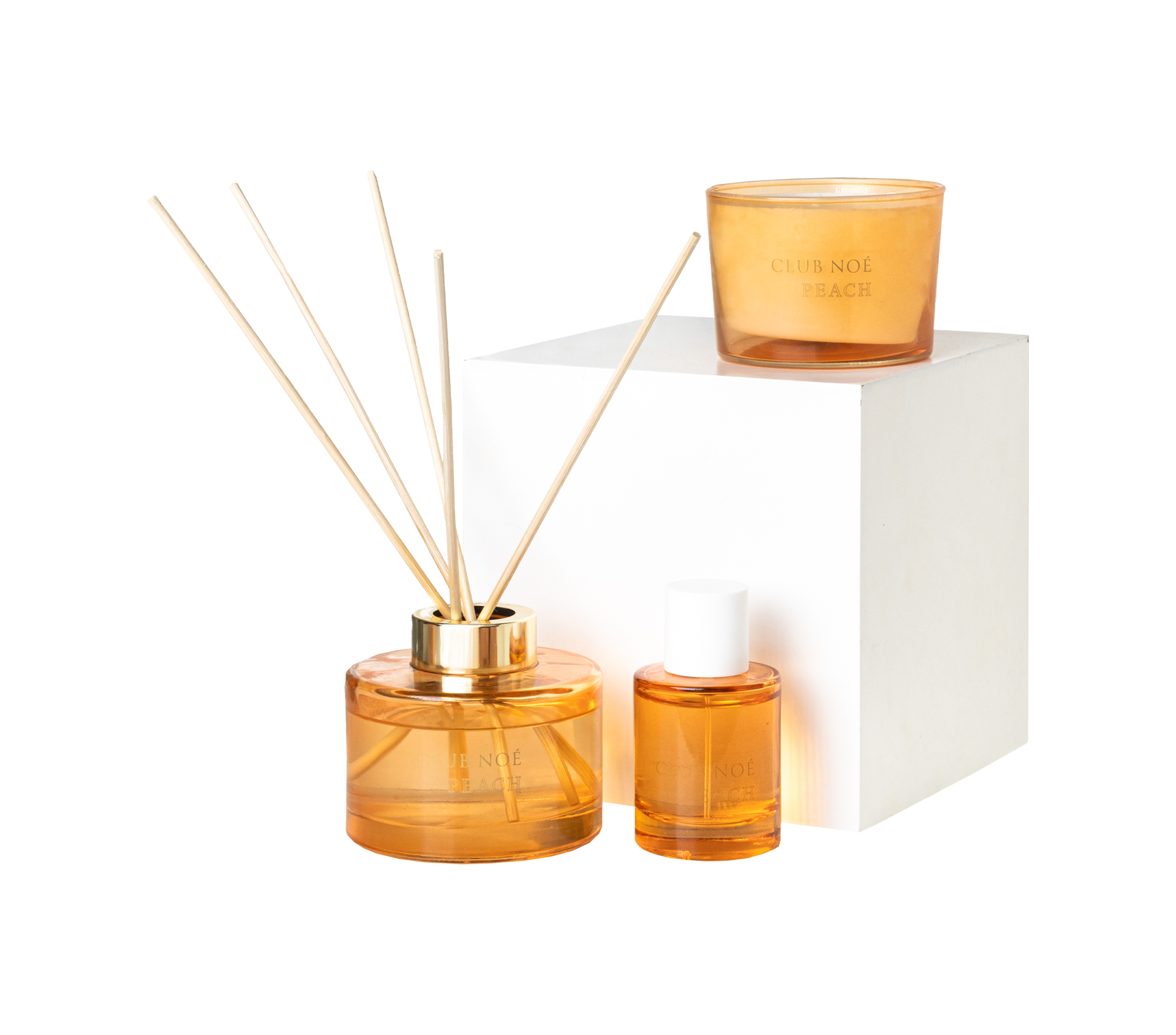 Neuheiten - BH – AVA & MAY - Germany