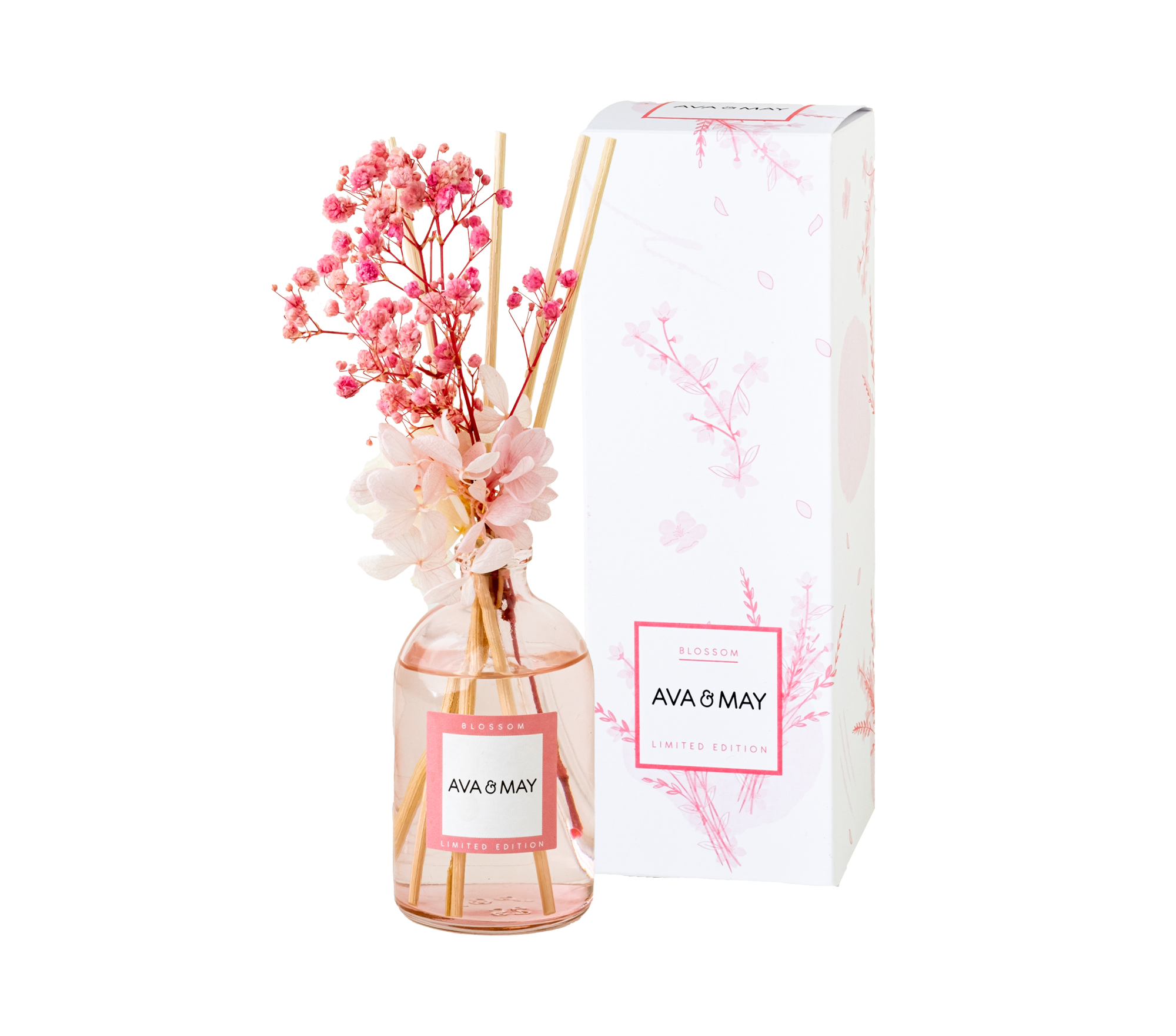 Neuheiten - BH – AVA & MAY - Germany