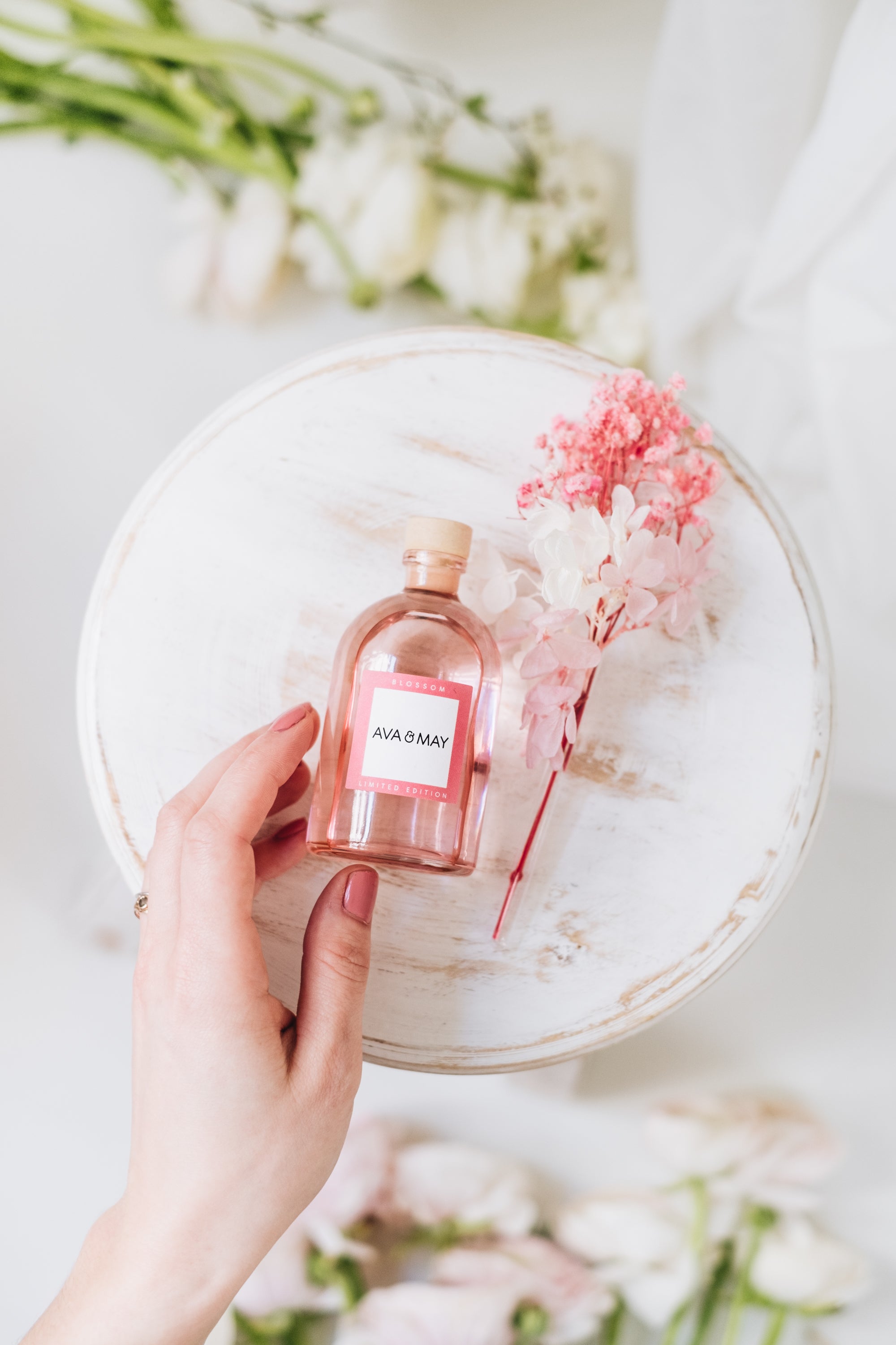 Neuheiten - BH – AVA & MAY - Germany